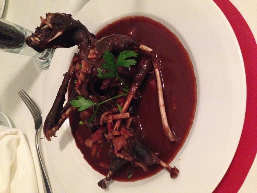 Flying Fox | Follow the Idiot