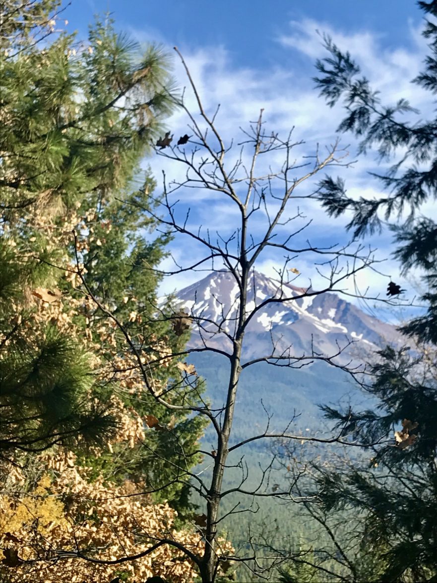 What Does The Idiot Discover On California’s Snowless Mount Shasta ...