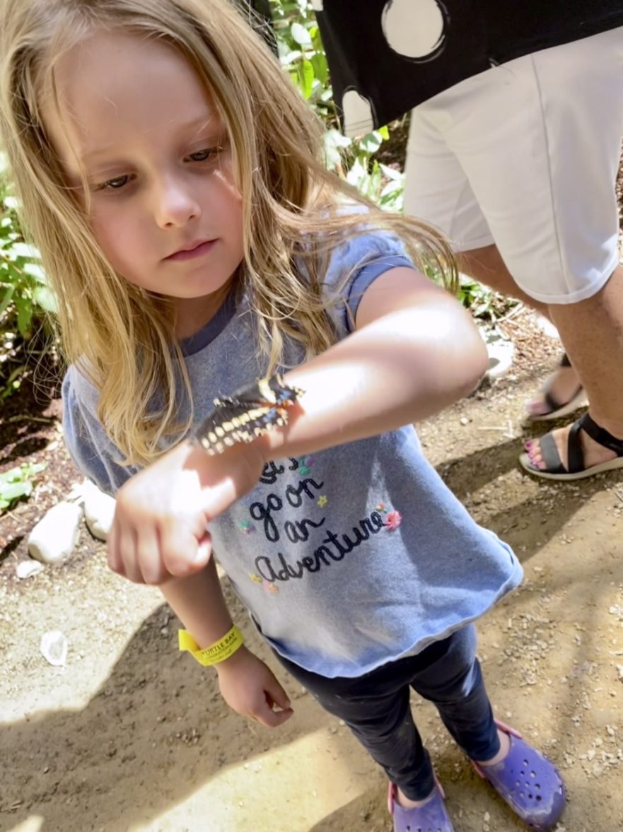 What Did The Idiot Do With Baby Gaga And Baby Gogo During the Heat Wave ...